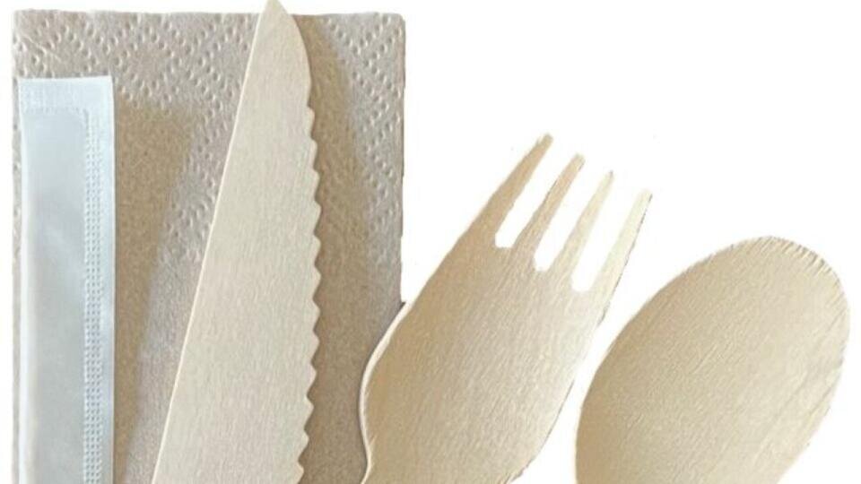 Paper Cutlery