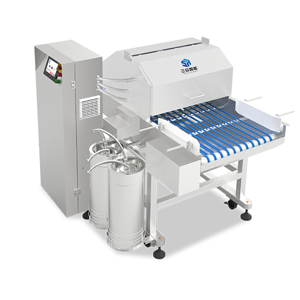 Advanced Food Processing Equipment for Cakes and Desserts